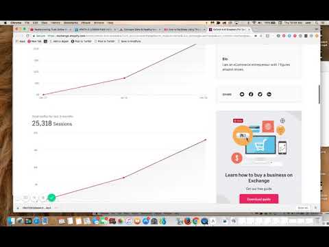 Shopify Stores For Sale? How to Use the Shopify Exchange to Buy (and ...